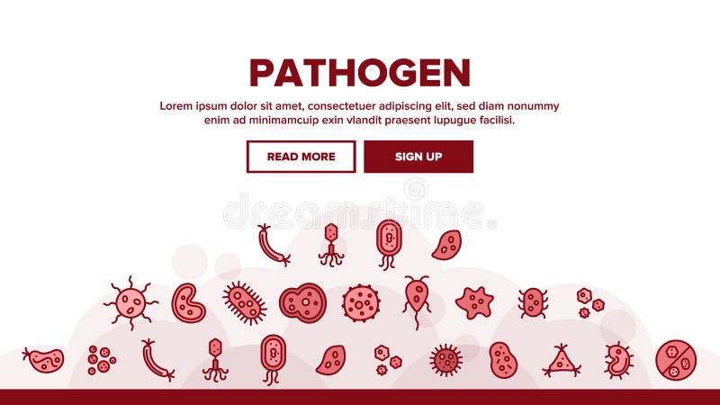 Collection Pathogen Elements Vector Sign Icons Set Stock Vector ...