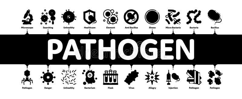 Pathogen Elements Minimal Infographic Banner Vector Stock Vector ...