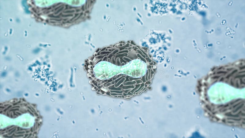 Pathogen Outbreak of Bacterium and Pox Virus, Disease Causing ...