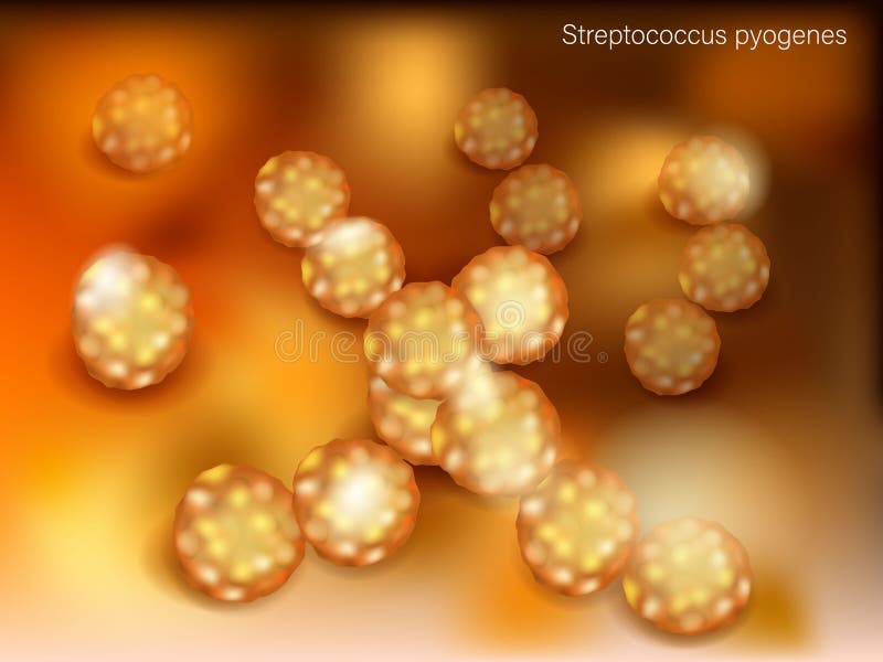 Streptococcus Pyogenes Stock Illustrations – 486 Streptococcus Pyogenes ...