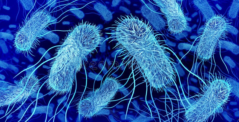 Pathogenic E Coli Bacteria stock image. Image of microbes - 375477441
