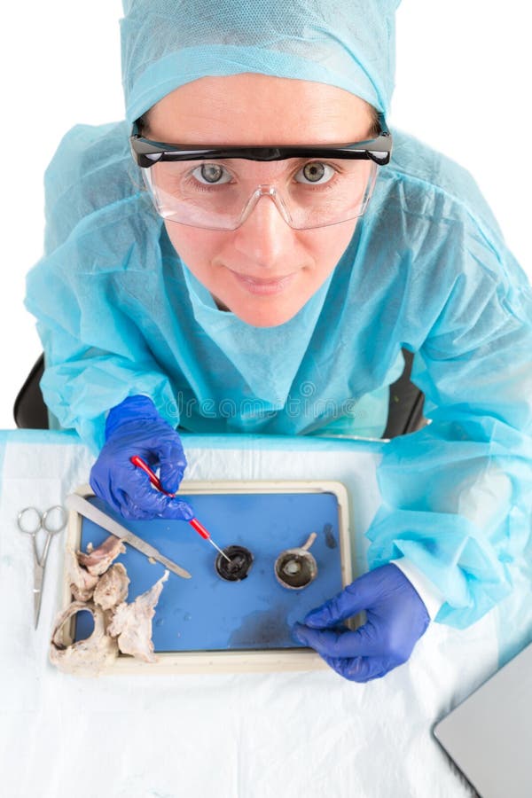 Pathologist Conducting Tissue Analysis Stock Photo - Image of intern ...