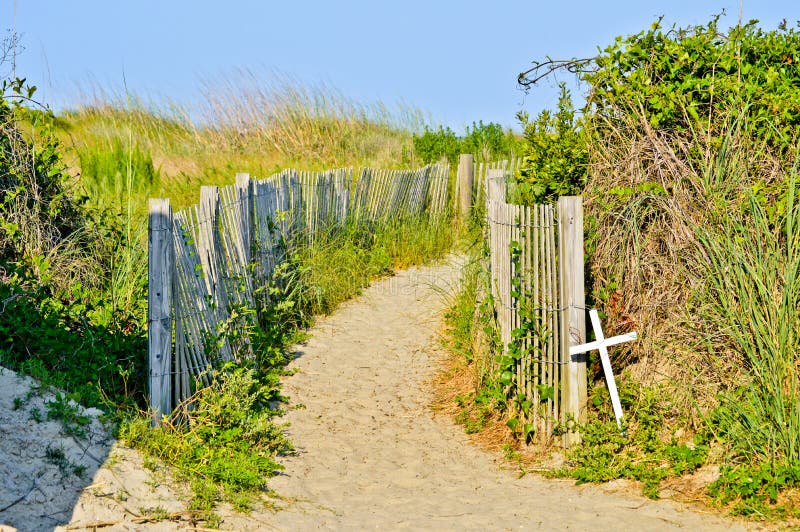 Beach Path 2 stock photo. Image of vacation, sunny, grass - 9498676