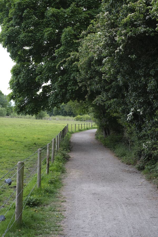 Paths around a field stock image. Image of surrounded - 187672183