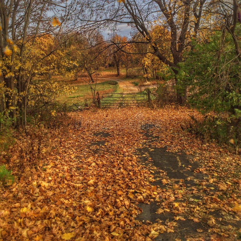 The paths of Autumn stock image. Image of autumn, landscape - 62117419