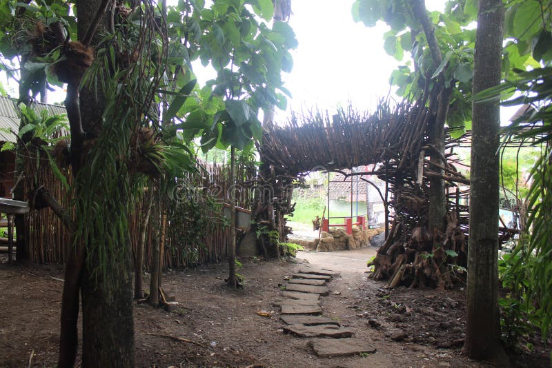 Paths and gates stock photo. Image of mysterious, idea - 217059622