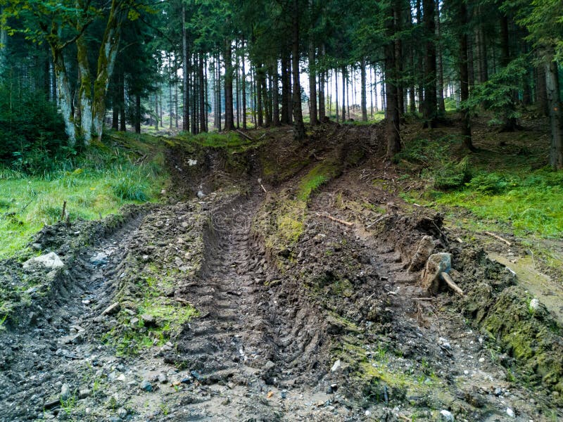 Paths Next To Mountain Trail Full of Mud Made by Vehicle Stock Photo ...