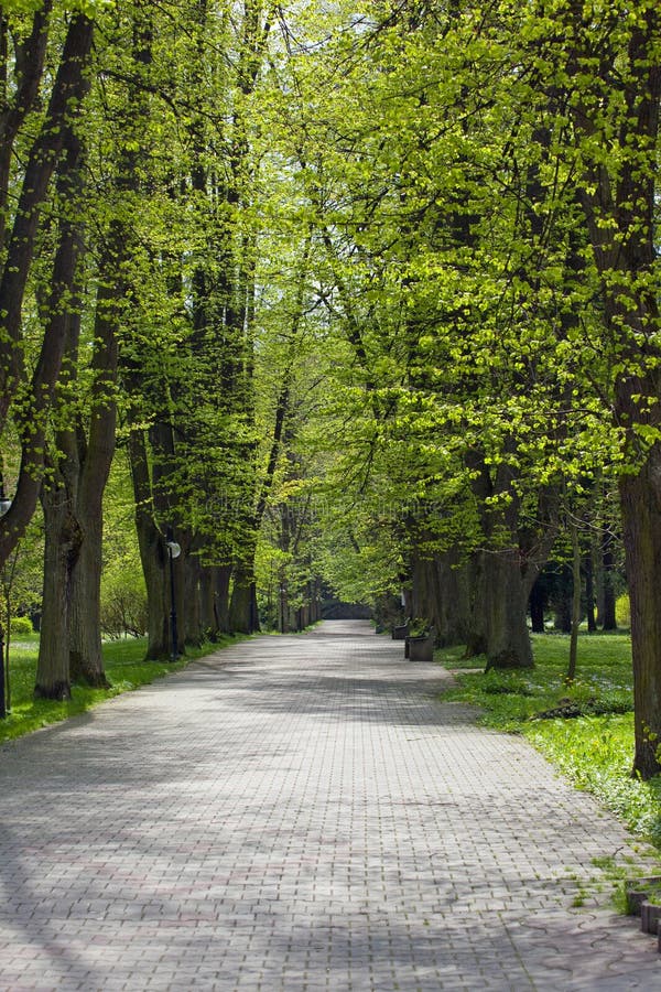 Walking path in the park stock image. Image of footpath - 41392407