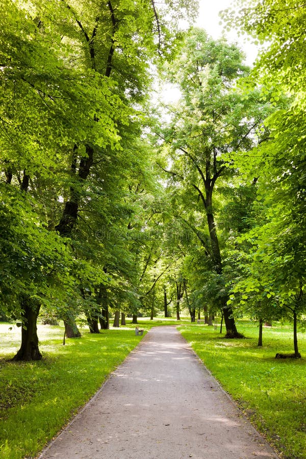 Paths in the park stock image. Image of green, natural - 14789791