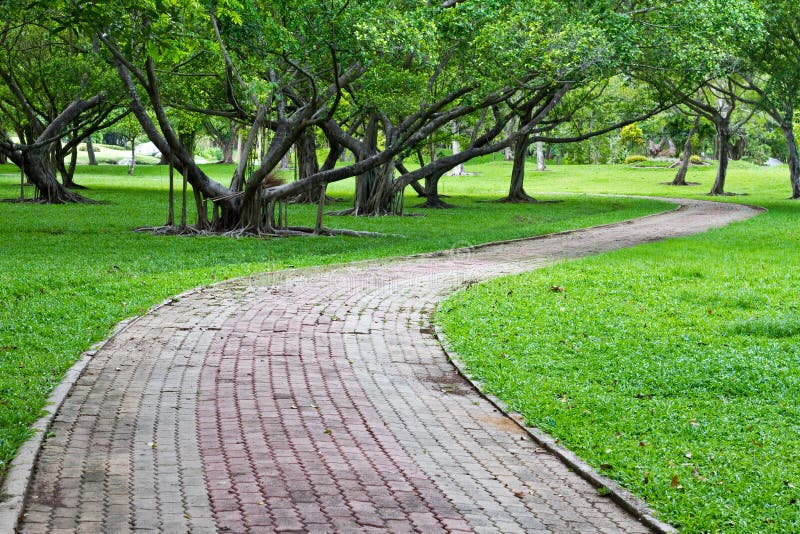 Park Perspective stock image. Image of path, stone, walkway - 8308843