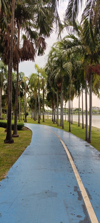 Paths in the Park for Walking, Running and Relaxing. Stock Image ...