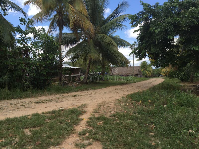 Village pathways stock photo. Image of trees, paths - 132668724
