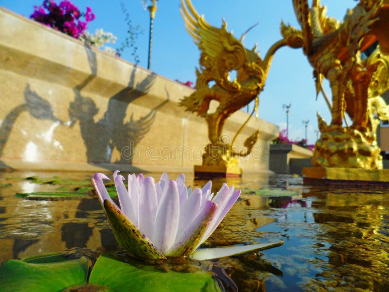 Pathum Thani, THAILAND - Car Park Building On Blu Sky Background Stock ...