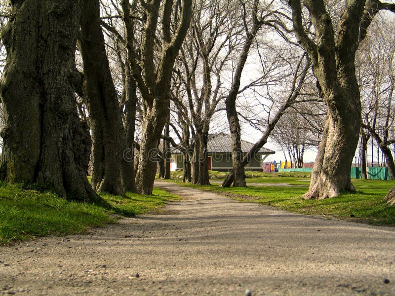 Pathway stock photo. Image of walkway, road, pathway, grass - 3288