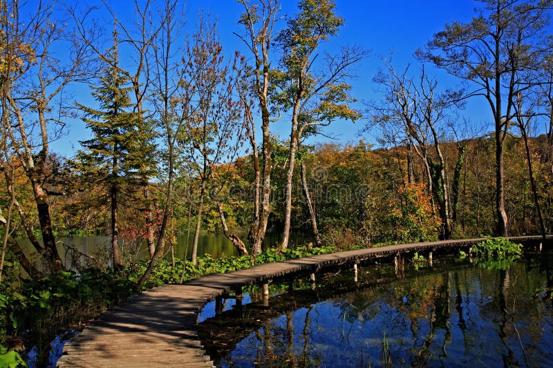 Pathway stock photo. Image of outdoor, water, trip, peaceful - 1750862