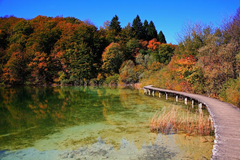 Pathway stock photo. Image of trip, water, autumn, tree - 1752034