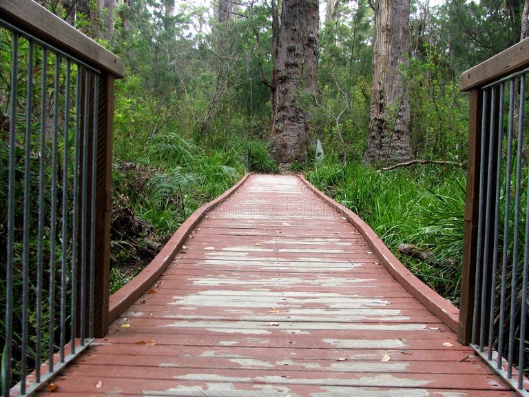 942 Direct Pathway Stock Photos - Free & Royalty-Free Stock Photos from ...