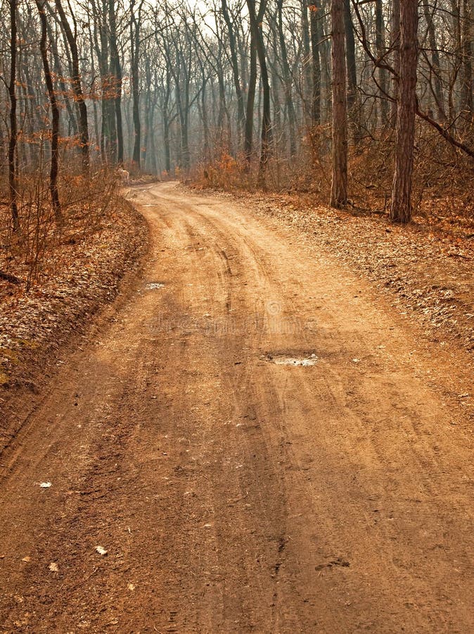 Pathway stock image. Image of nature, colors, autumnal - 20825235