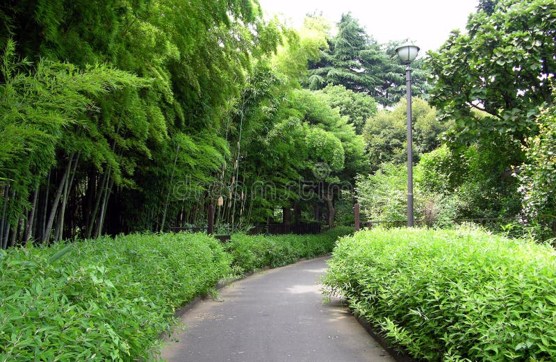Pathway stock photo. Image of garden, green, cloud, sunshine - 5354716