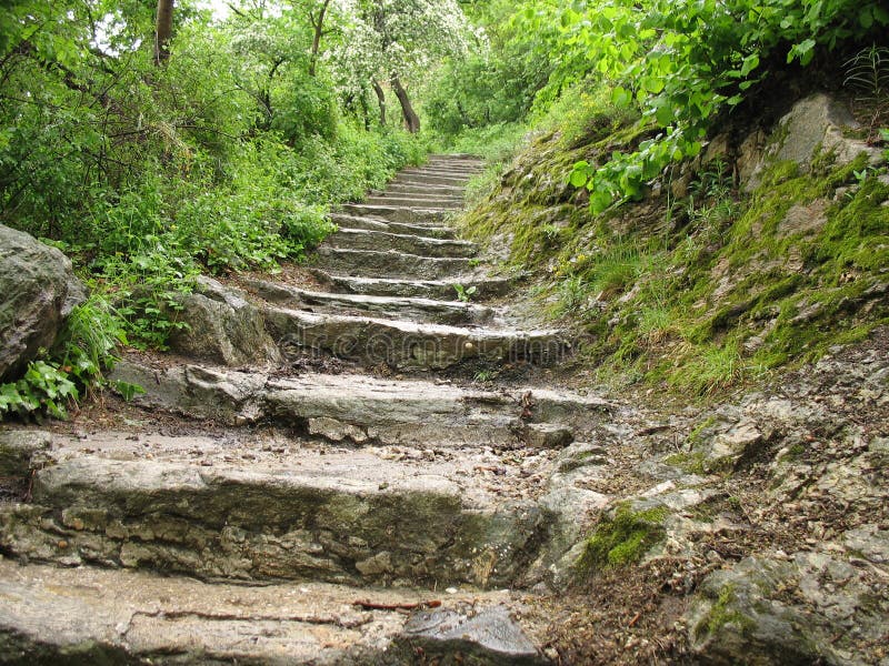 Pathway Picture. Image: 6052059