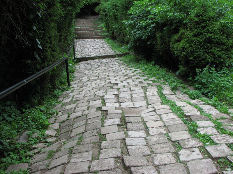 Pathway Picture. Image: 6060249