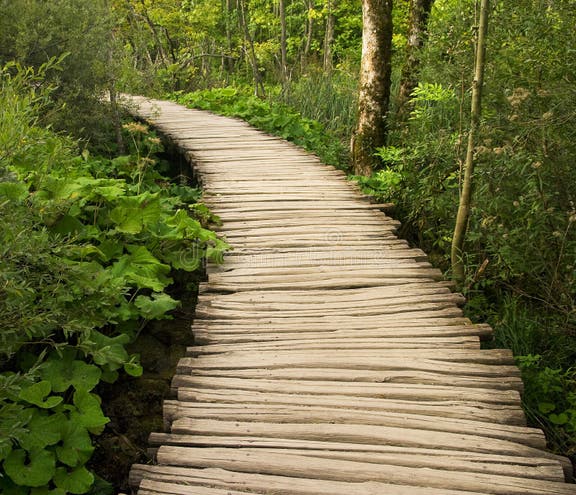 521 Find Pathway Stock Photos - Free & Royalty-Free Stock Photos from ...