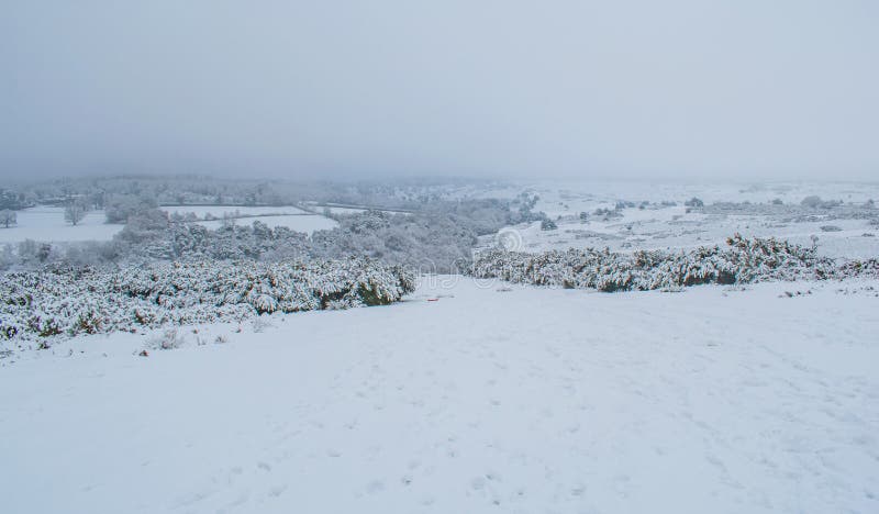 A Pathway Across Ashdown Forest England,s Empty Landscape on a Snowy ...