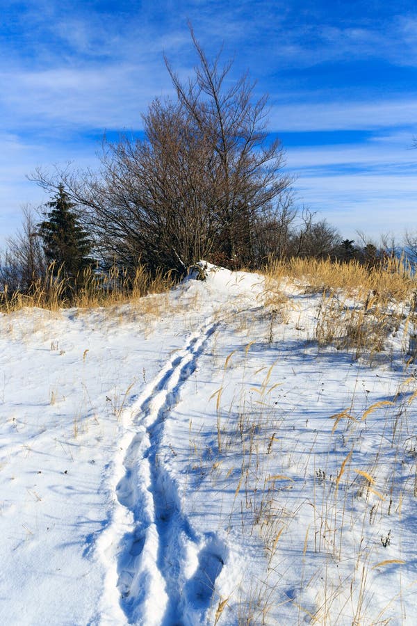 Pathway Across Winter Meadow Stock Image - Image of snowy, mountain ...