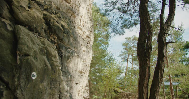 A Pathway Along the Base of a Rugged Cliff, with Tree Roots and Rocks ...