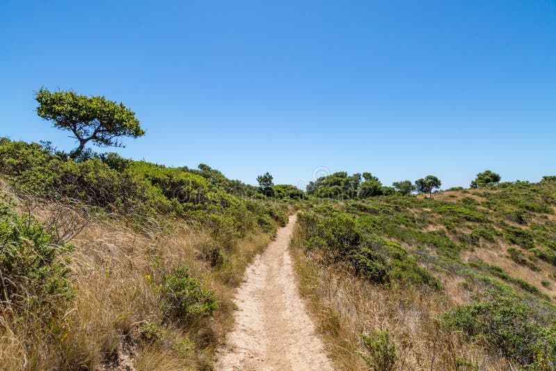 A Path on Angel Island stock photo. Image of landscape - 119046074