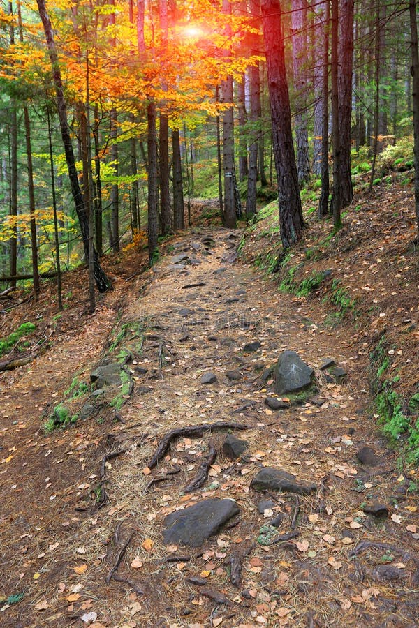 Pathway in Autumn Mountains Stock Photo - Image of rural, earth: 239722112