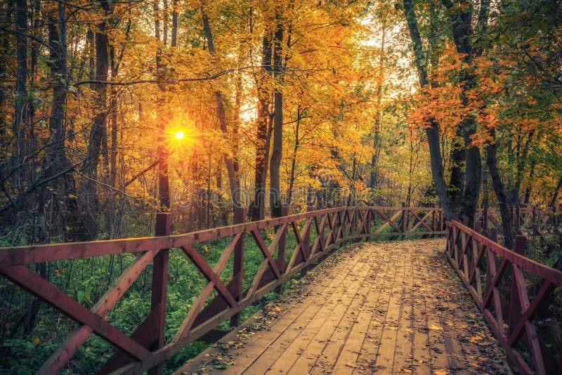 A Pathway At Sunset Leading To Calm Waters Stock Photo - Image of lake ...