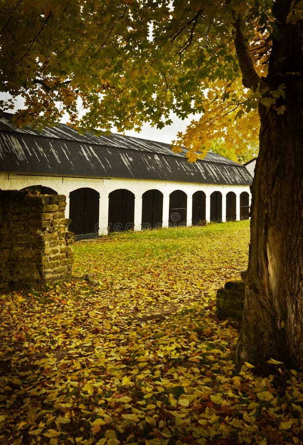 Pathway in Autumn. Texture Conceptual Images Stock Photo - Image of ...