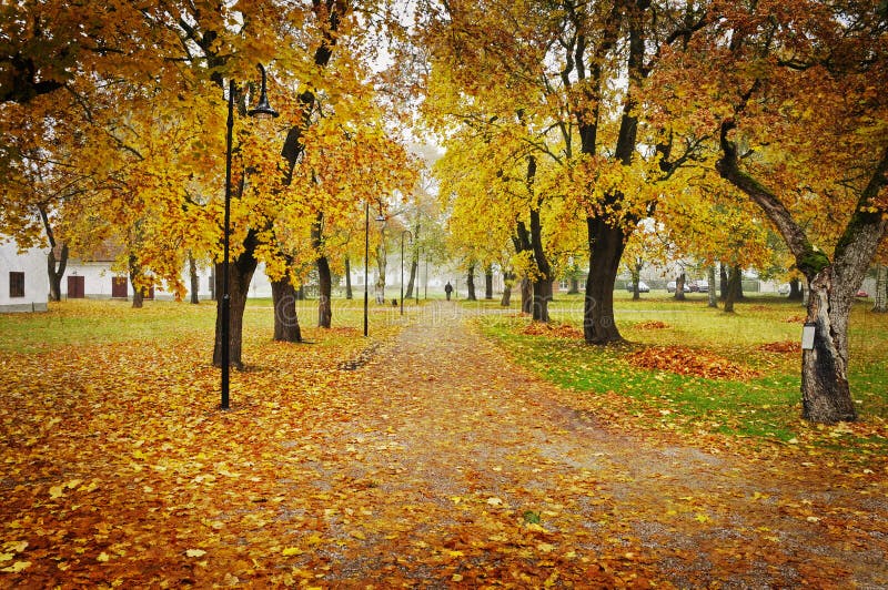 Pathway in Autumn. Texture Conceptual Images Stock Photo - Image of ...