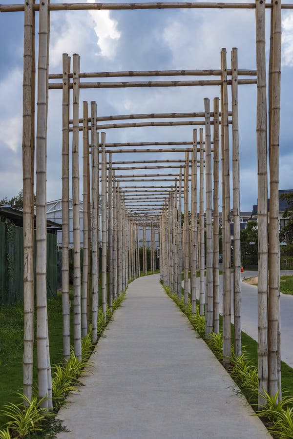 Bamboo gates stock photo. Image of gate, massive, natural - 2628762