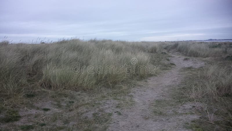 Pathway on beach. stock photo. Image of ireland, sunset - 97982704