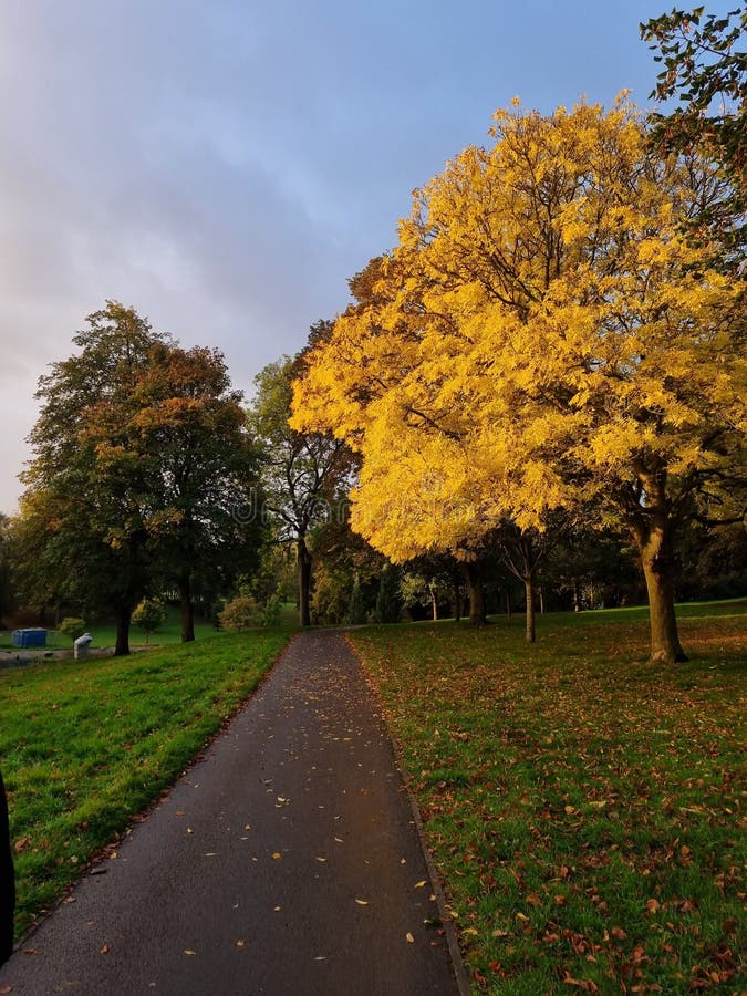 Pathway in a Beautiful Autumn Park Stock Photo - Image of withered ...