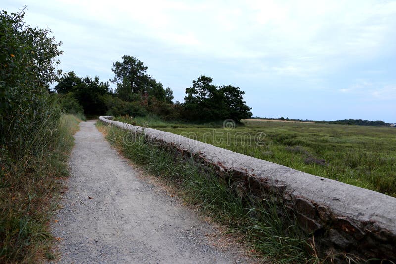 Pathway stock image. Image of trees, nature, pretty, scenic - 95153551