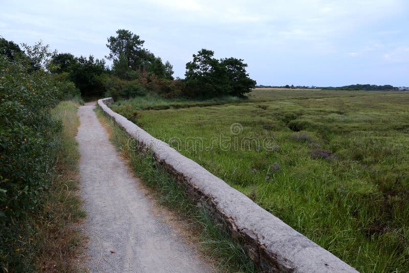 Pathway stock photo. Image of pretty, wall, europe, green - 95202506