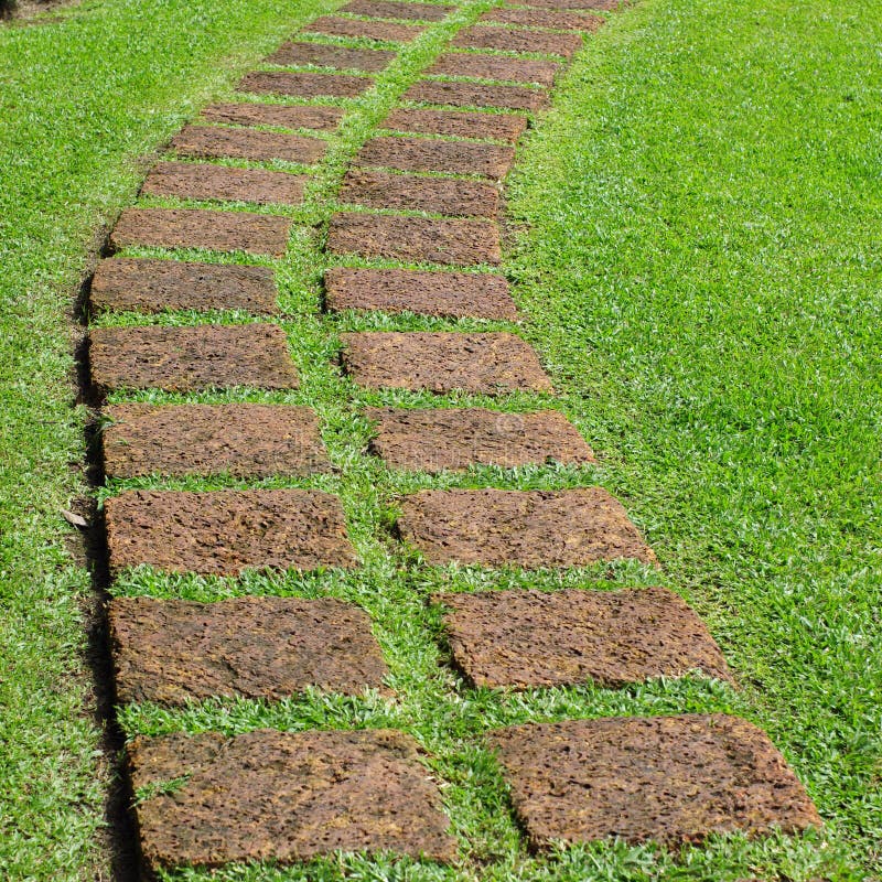 Pathway stock photo. Image of outside, oriental, backyard - 135793706