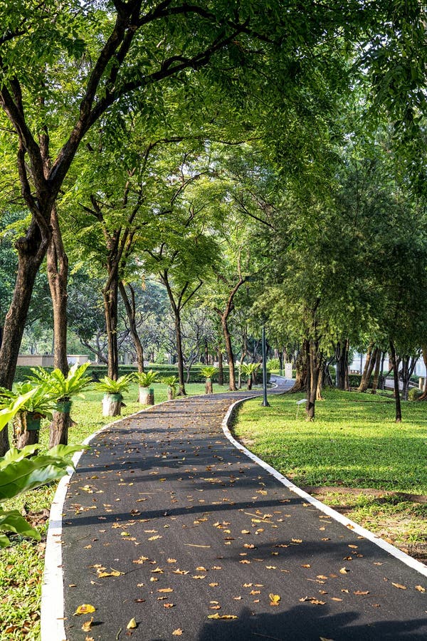 Pathway through a Beautiful Public Park in Sunny Day Stock Photo ...