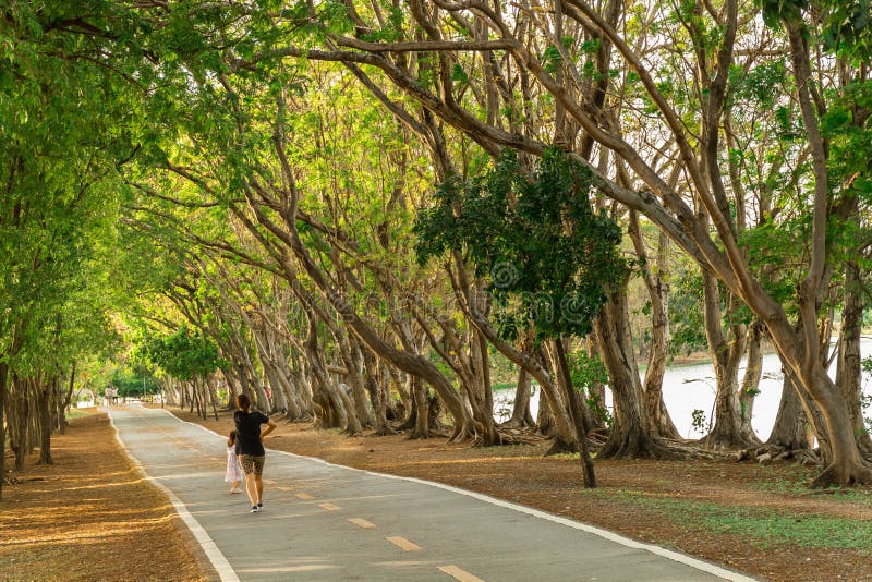 Pathway and Beautiful Trees Track for Running or Walking and Cycling ...