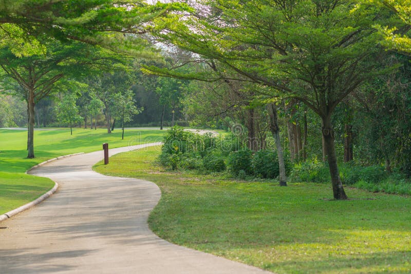 Pathway and Beautiful Trees Track for Running or Walking Relax in the Park on Green Grass Field ...