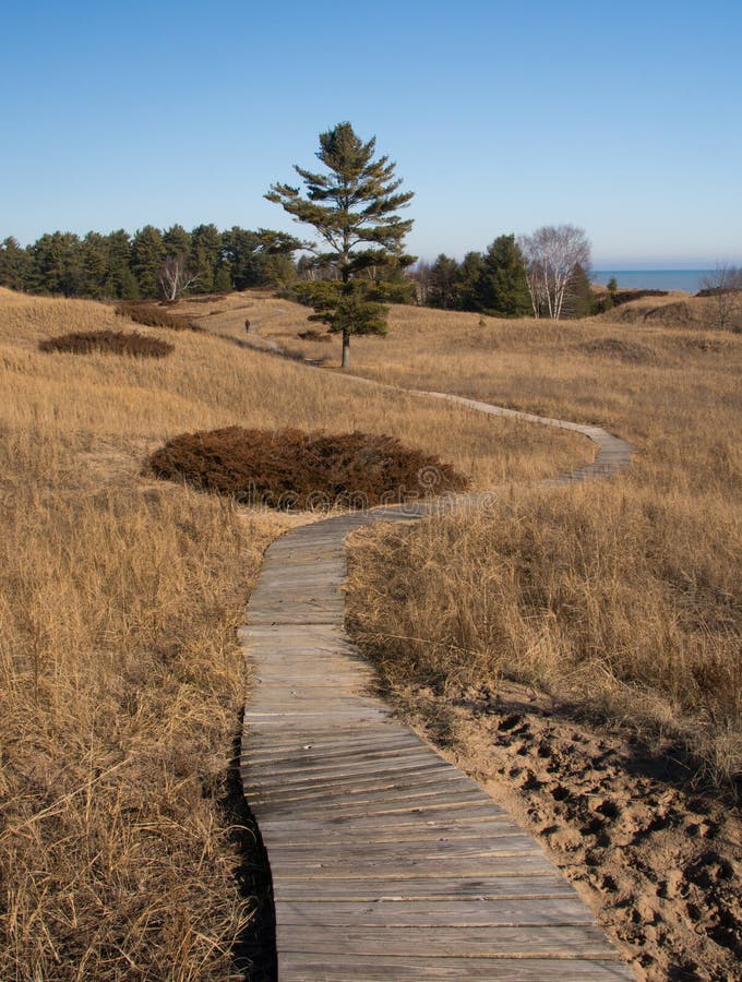 Pathway stock photo. Image of sand, seasonal, winding - 63614362
