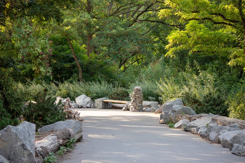 815 Bog Rocks Stock Photos - Free & Royalty-Free Stock Photos from ...