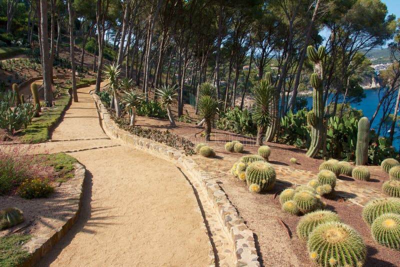 Pathway in a Botanical Garden Stock Image - Image of pathway, callela ...