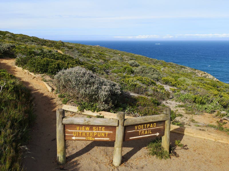 Pathway Branching Off in Different Directions Stock Image - Image of ...