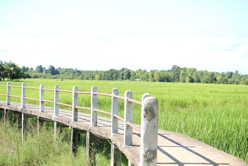 Pathway bridge stock image. Image of link, land, water - 100499919