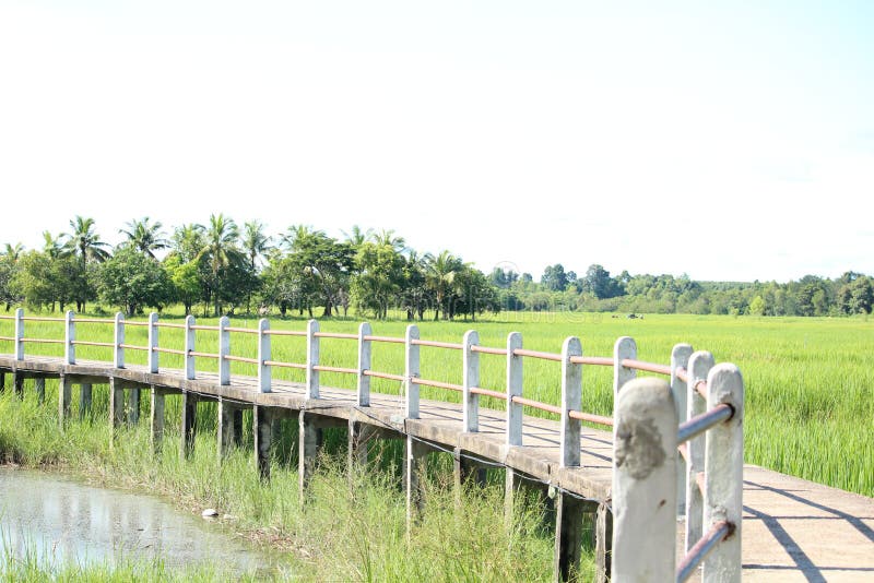 Pathway bridge stock image. Image of pathway, path, bestride - 100500053