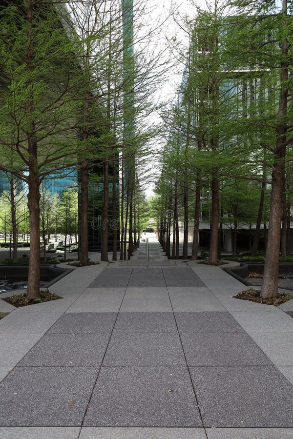 Pathway in the Building Surrounded by Trees Stock Photo - Image of ...